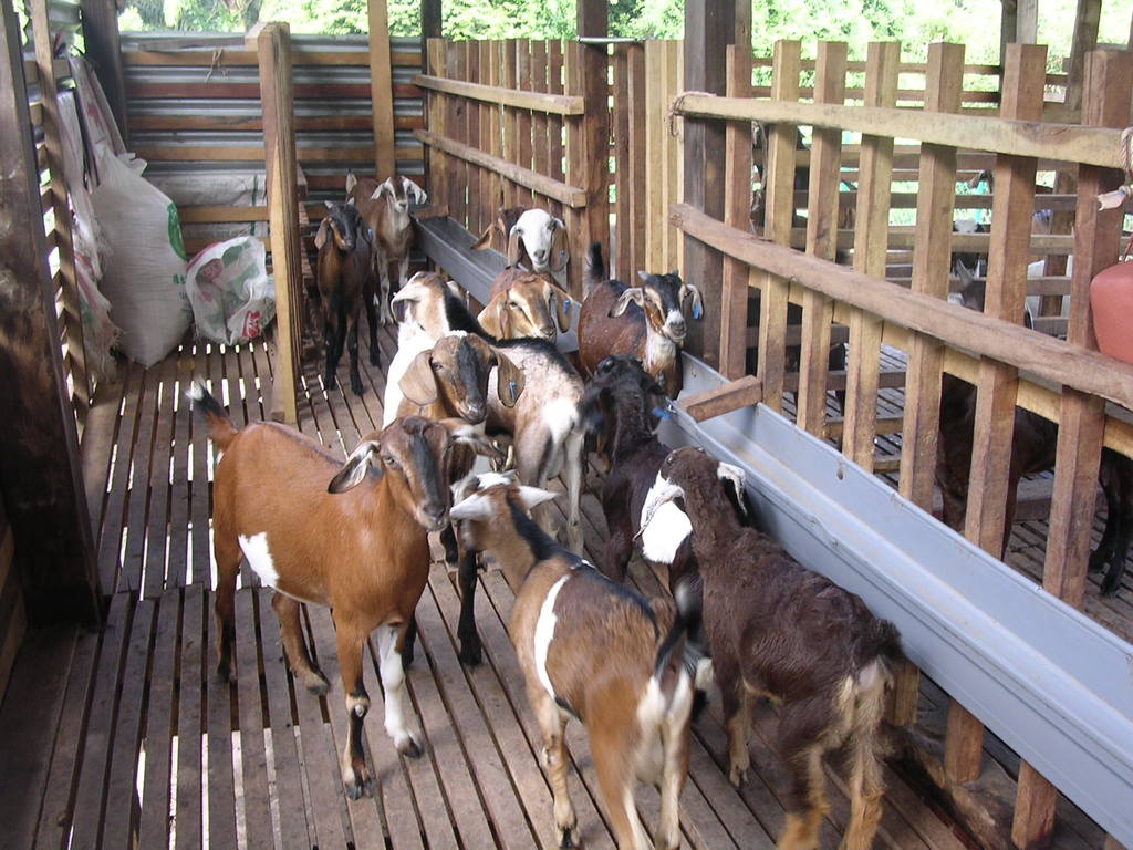 Jackson Stone - Roboflow Universe