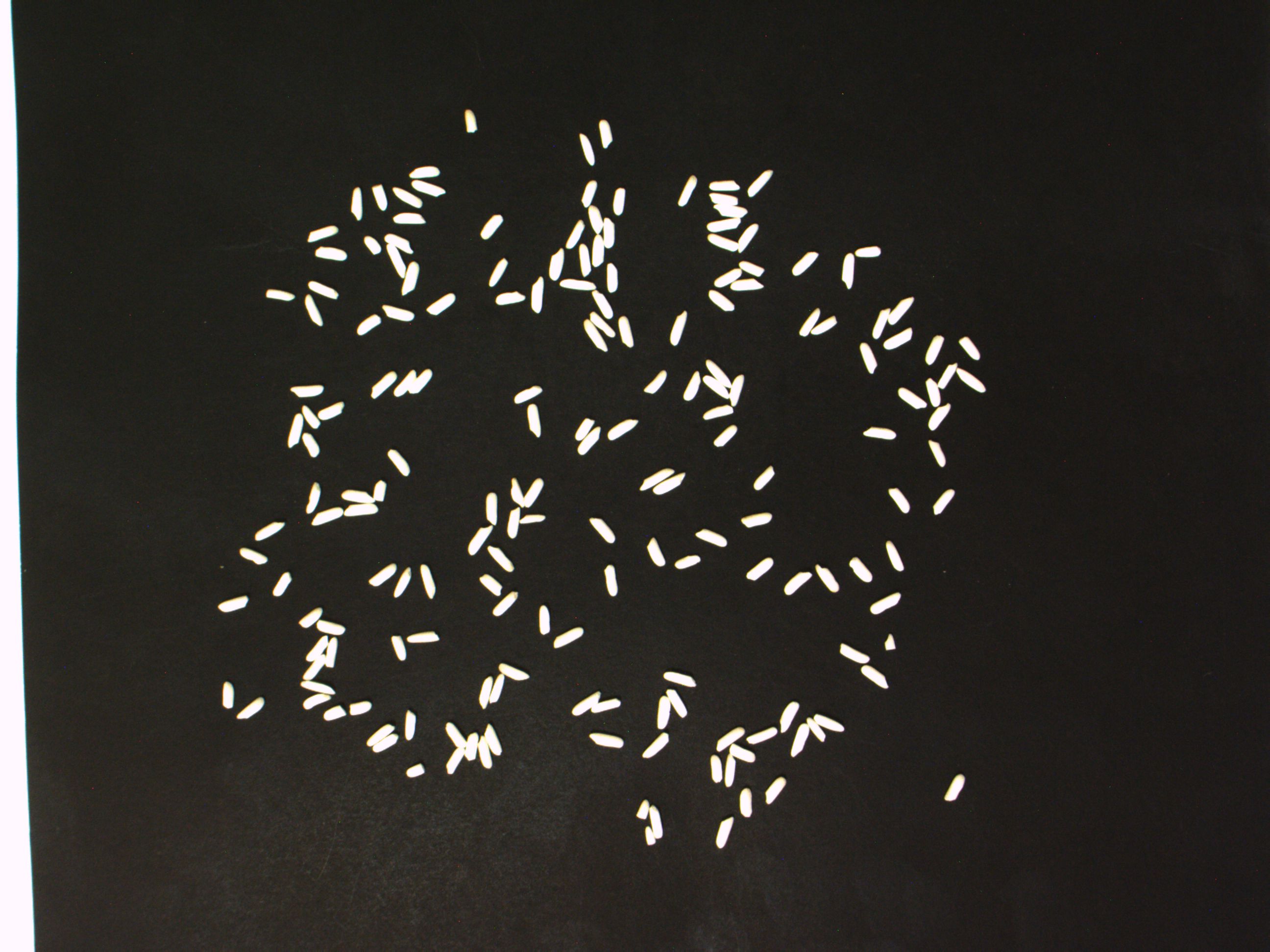 Rice_analysis Object Detection Dataset and Pre-Trained Model by Rajamangala University of ...