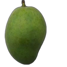 Mango Classification Classification Dataset and Pre-Trained Model by Sharon Workspace