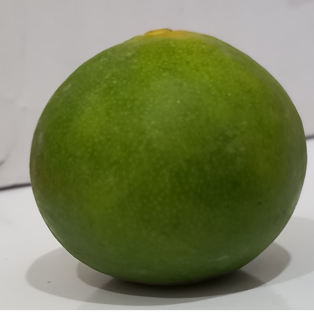 Yolo-cbam Object Detection Dataset and Pre-Trained Model by object ... Yolo-cbam Object Detection Dataset and Pre-Trained Model by object ...