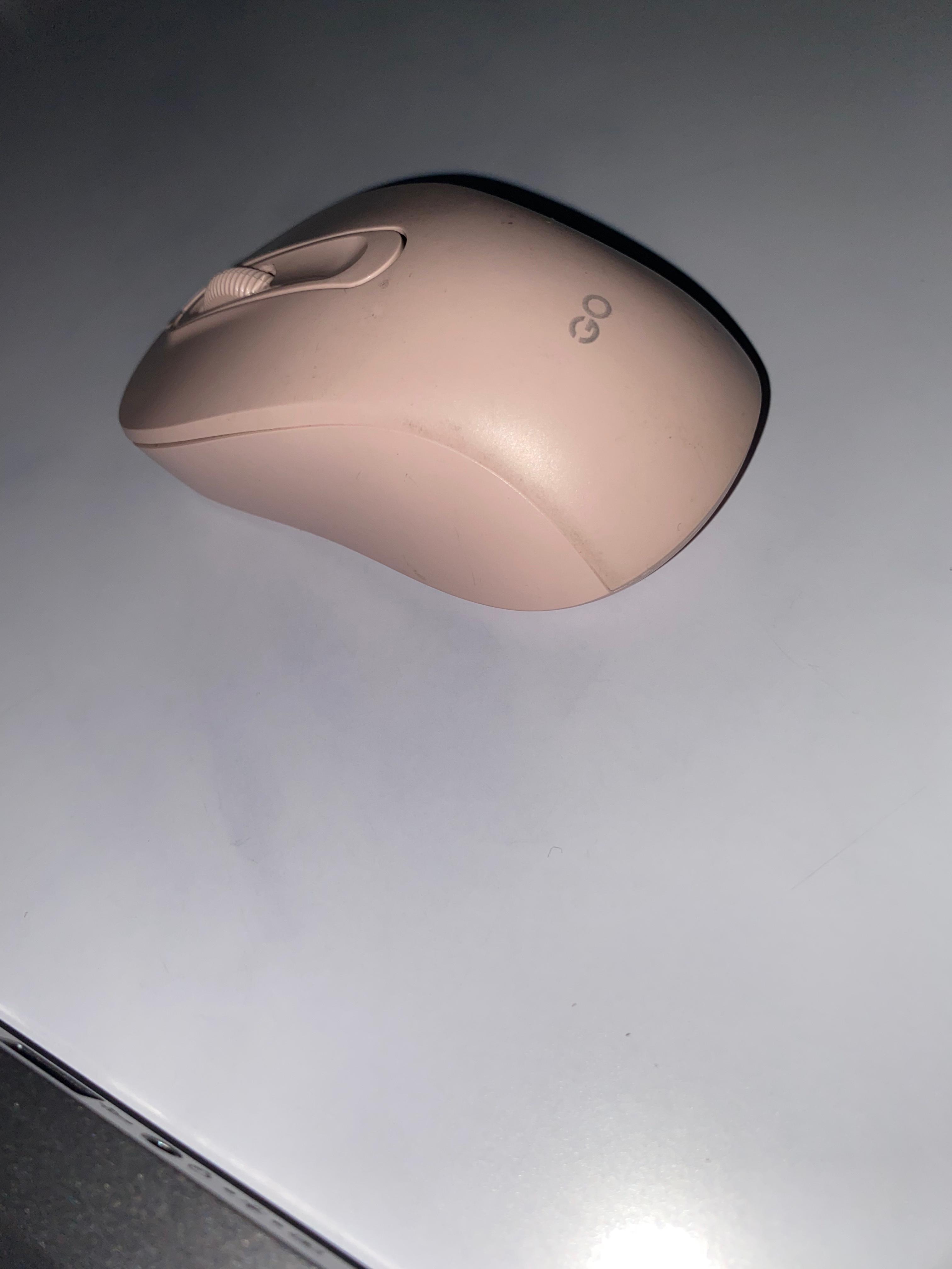 deteksi_mouse Object Detection Dataset and Pre-Trained Model by deteksi hp