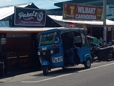 Medicinal Plants Detection - Roboflow Universe