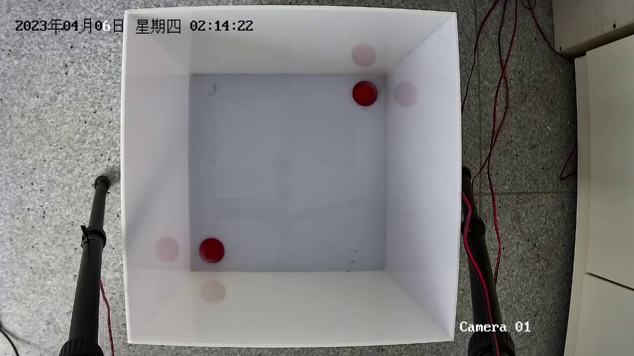 exp4 Instance Segmentation Dataset and Pre-Trained Model by Gui University