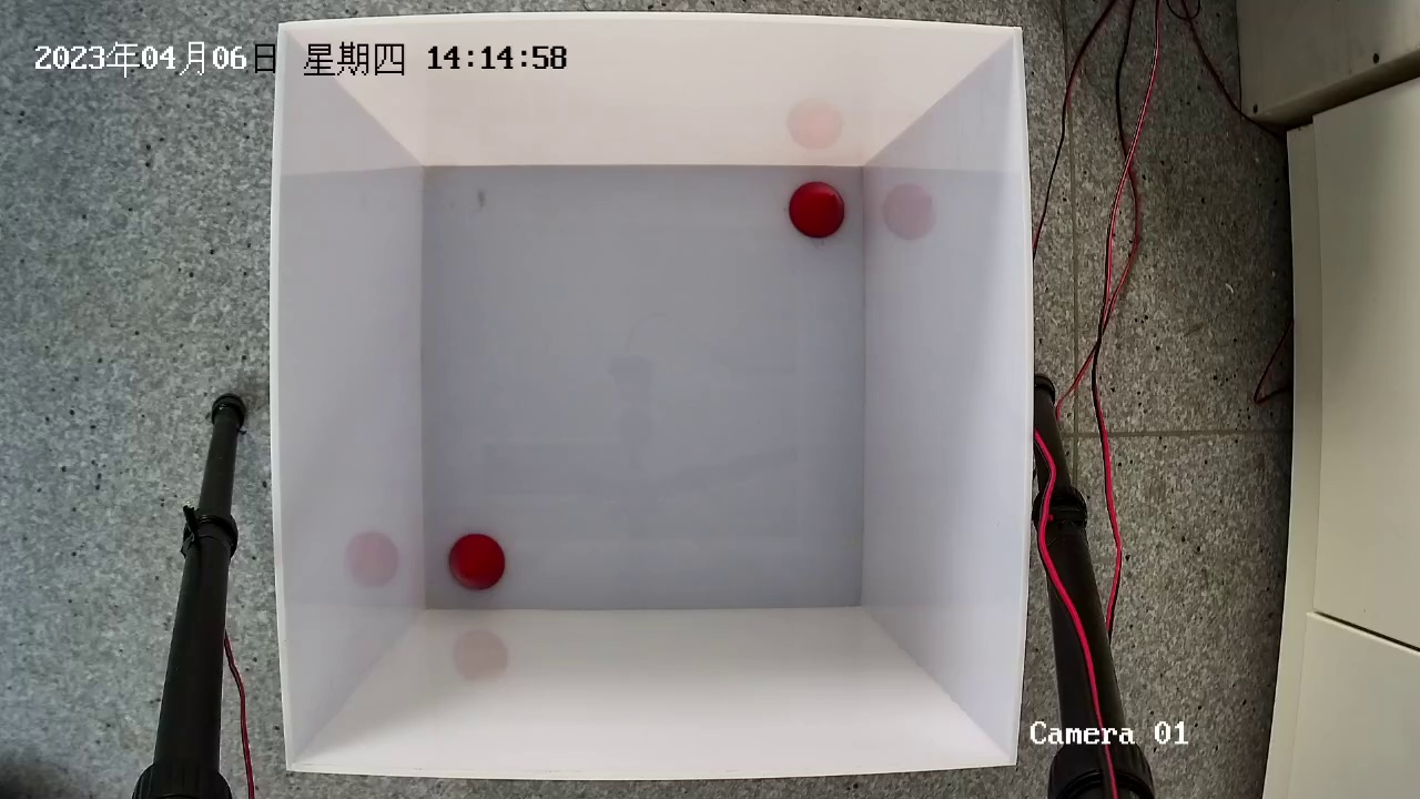 exp3 Object Detection Model by Gui University