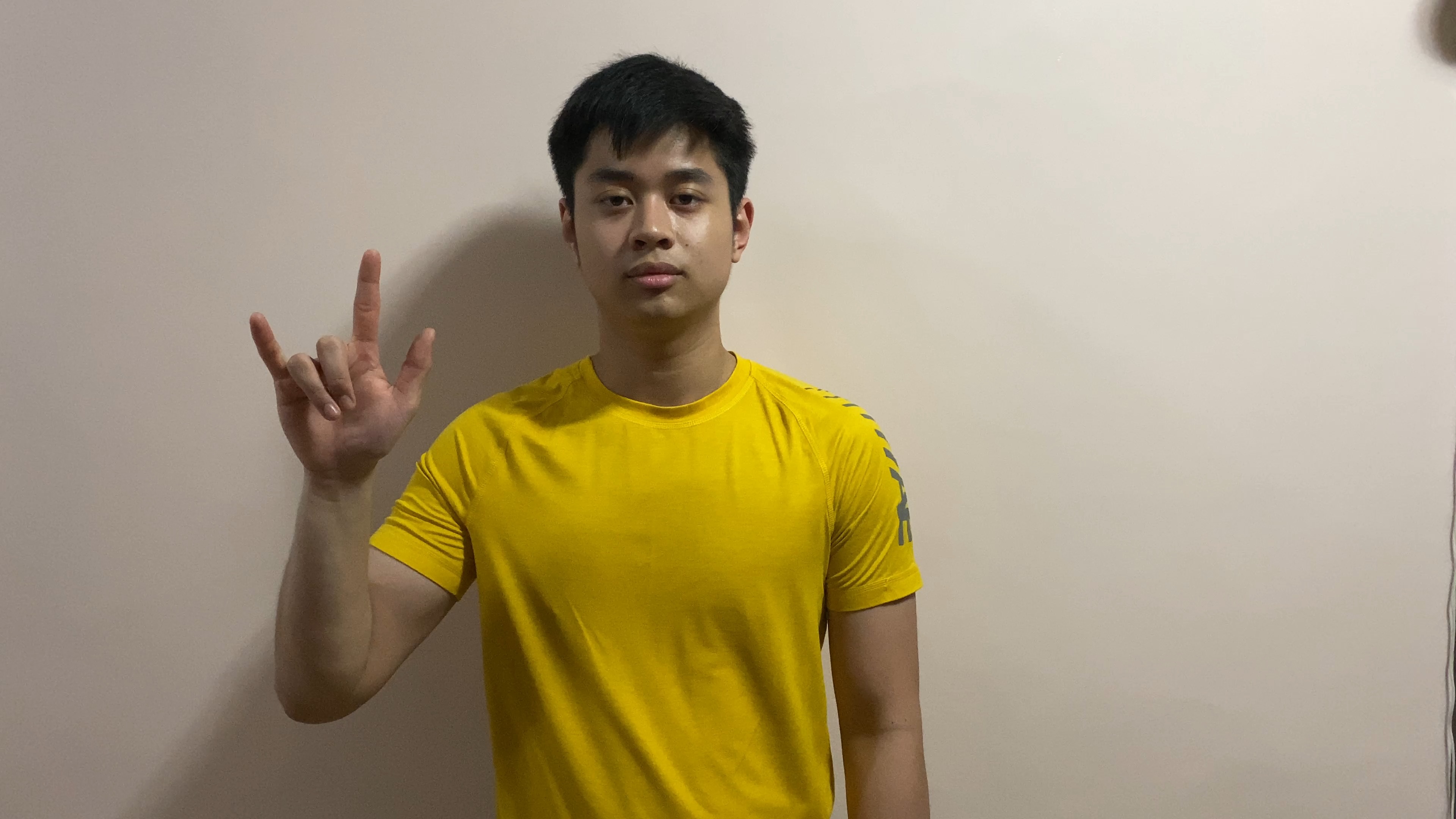 Filipino Sign Language Model Object Detection Model by FSL FINAL