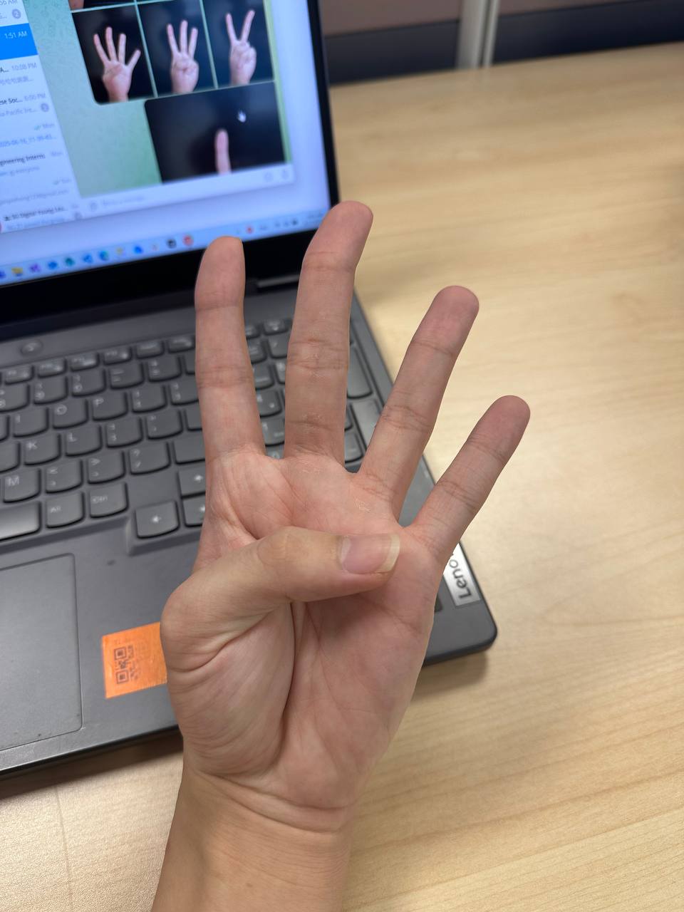 Hand gesture detection Object Detection Model by hayden
