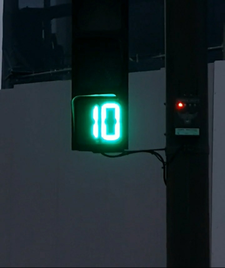 Crosswalk Object Detection Dataset By Traffic Light