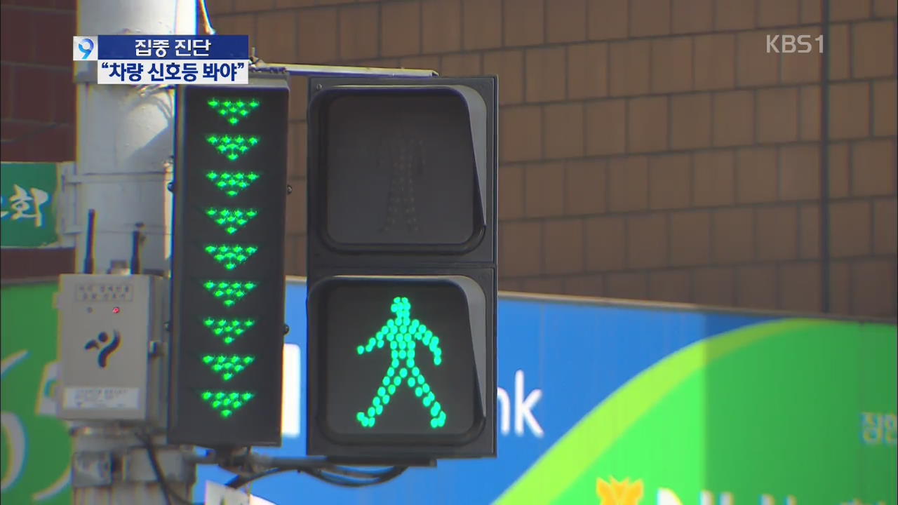 Traffic Light Object Detection Dataset V1 2022 10 30 9 29pm By