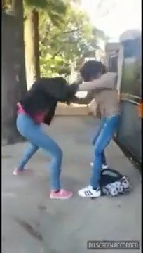 new_violence_dataset Object Detection Dataset by Cat Feeder Project