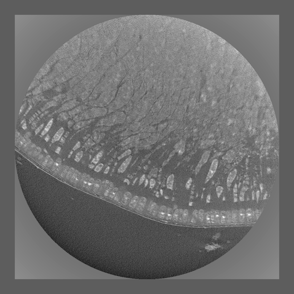 oat objects Semantic Segmentation Dataset by Lund