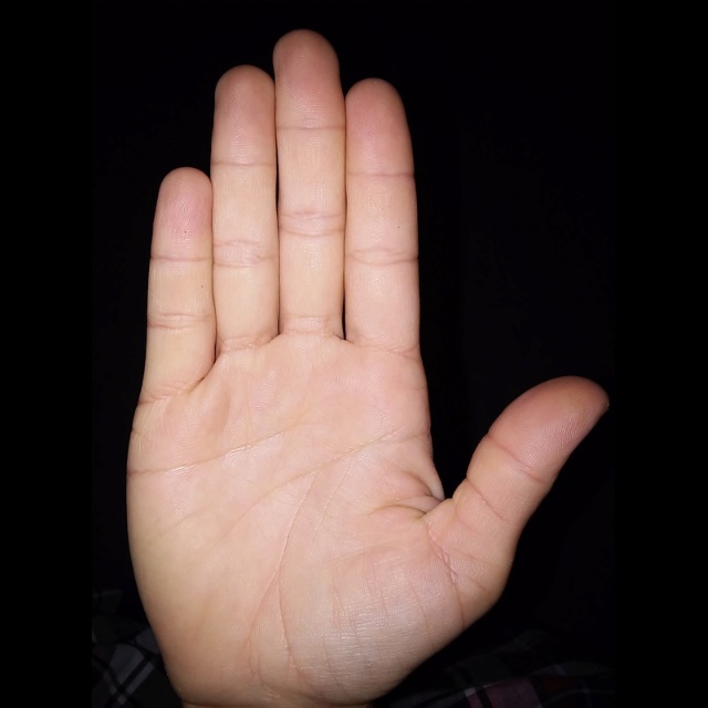 palm Object Detection Model by hand