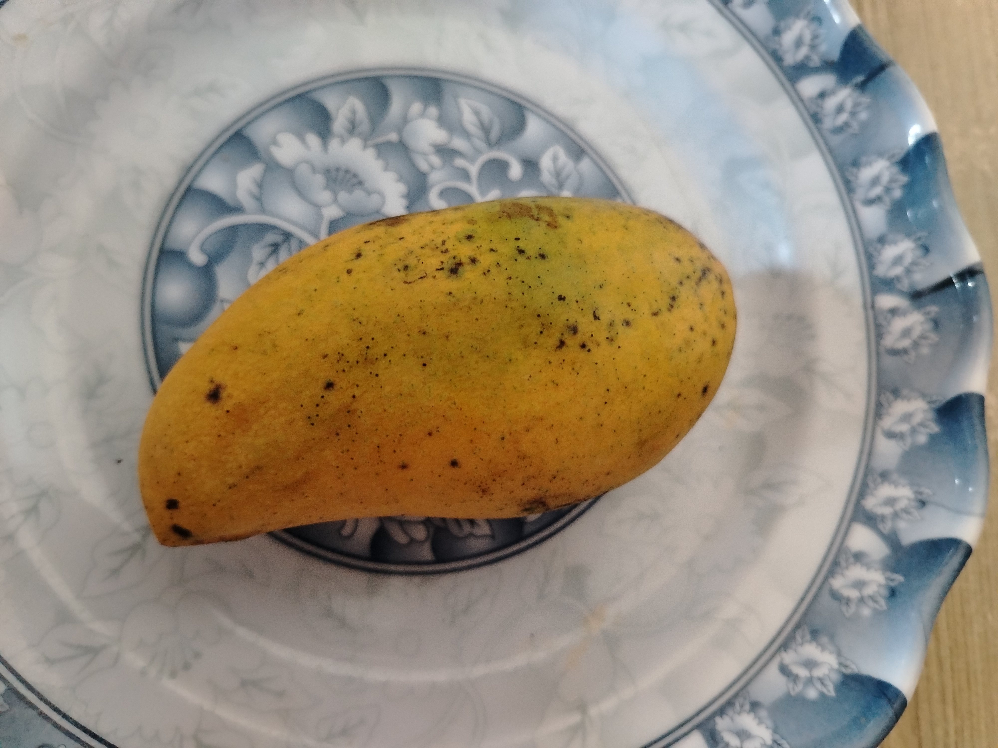 Pico Mango Object Detection Model by thesis