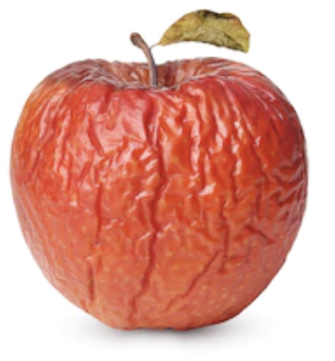 Apple Object Detection Dataset and Pre-Trained Model by Ai Project