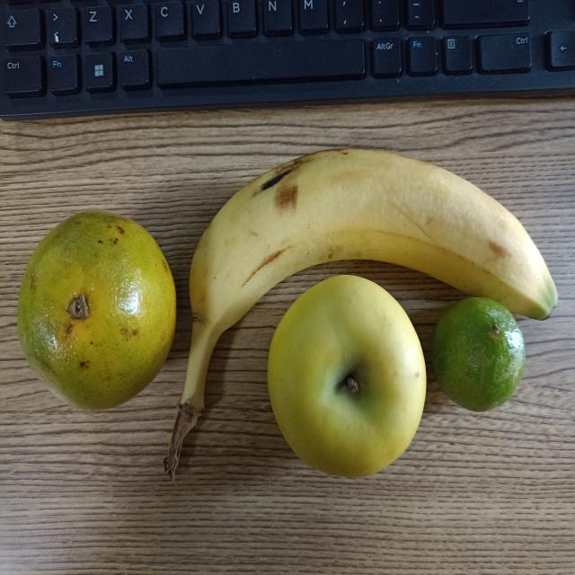 practica Object Detection Model by pepo68