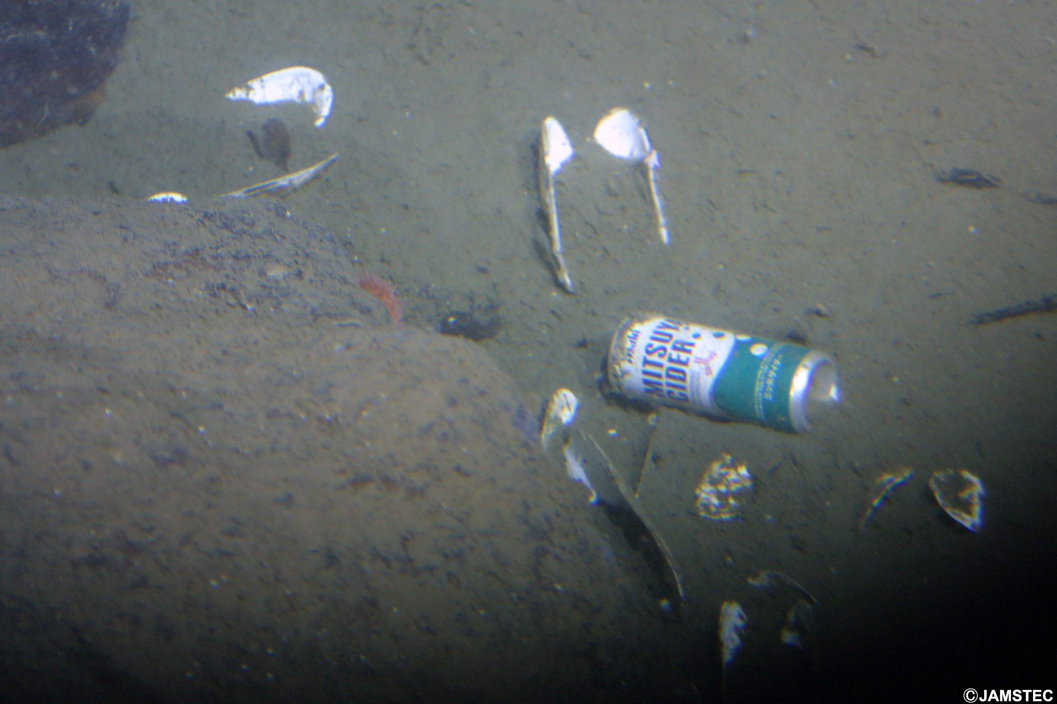 Underwater Object Detection Object Detection Dataset And Pre Trained