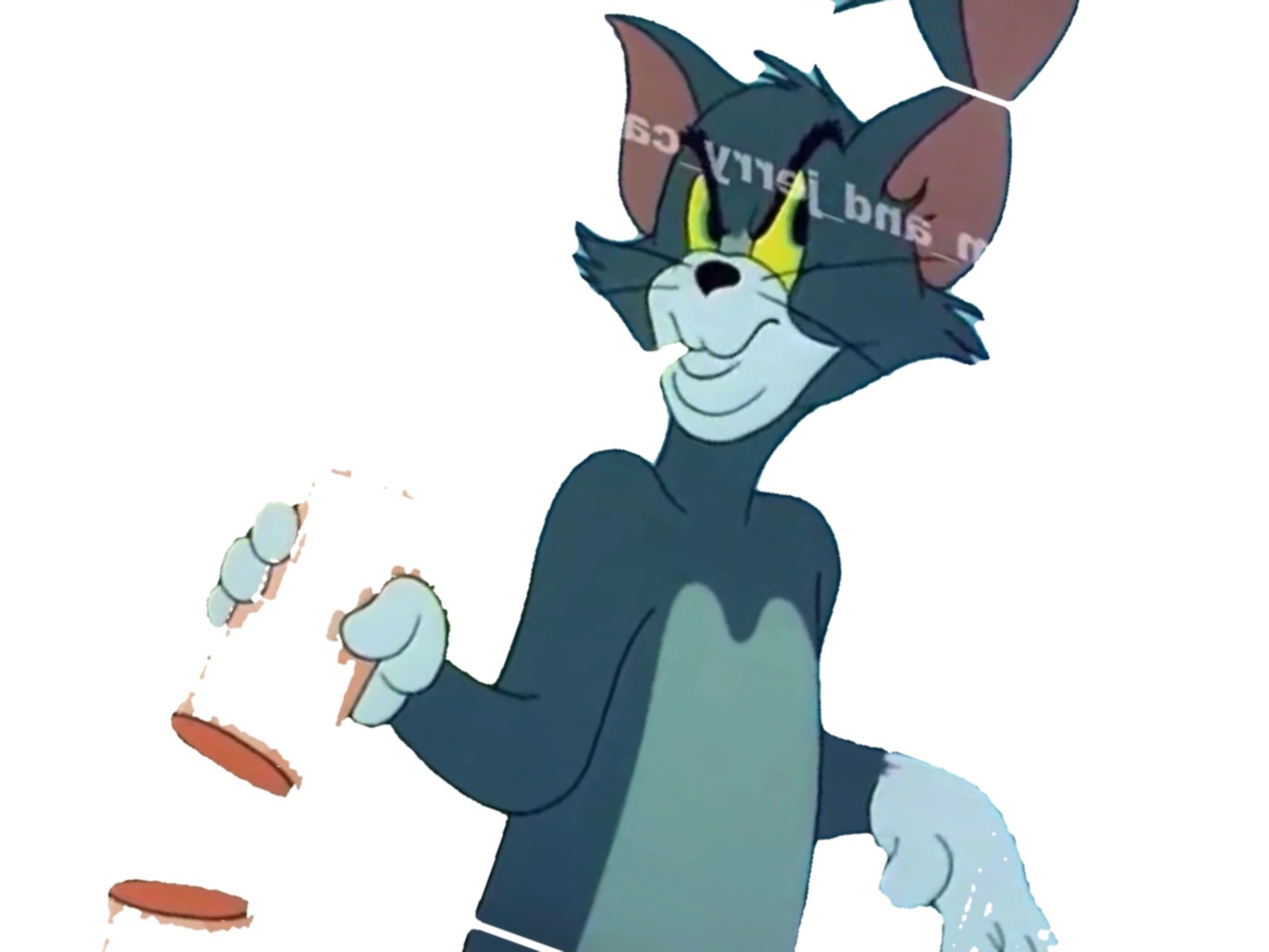 Tom Object Detection Dataset by cartoon