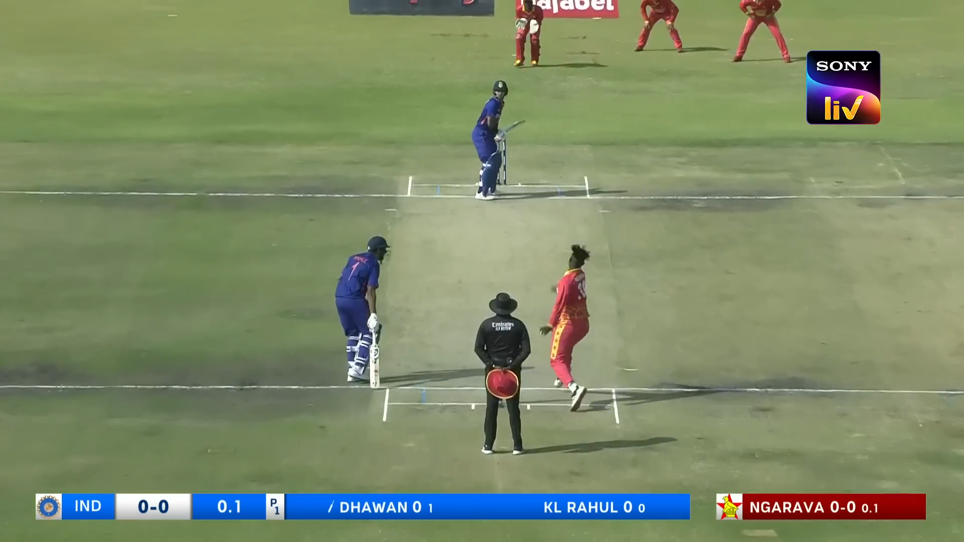 cricket Object Detection Model by yasasni