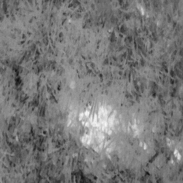 Detection Landmines Object Detection Dataset By Angiespace