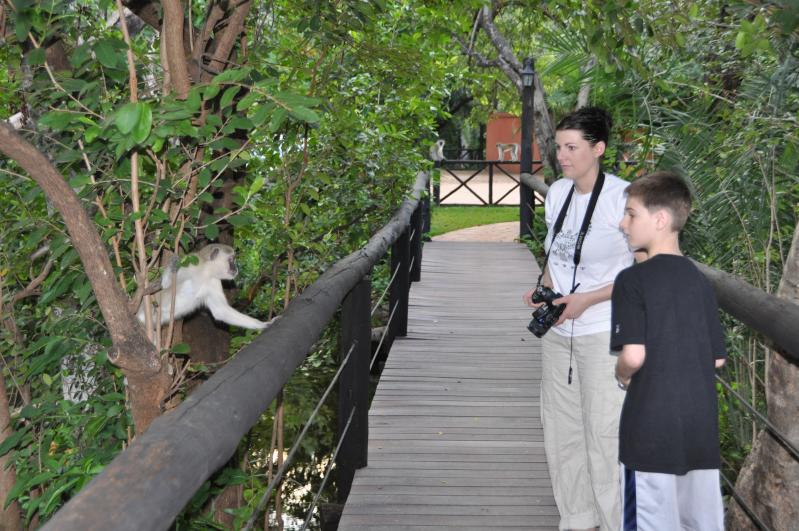 fuselage_temp1 Object Detection Dataset and Pre-Trained Model by fuselage