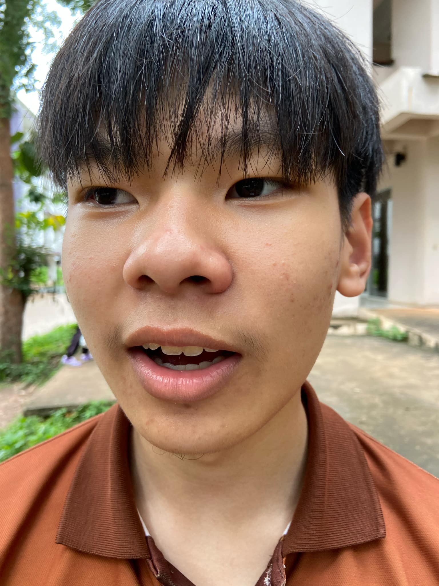 Test Object Detection Dataset And Pre Trained Model By Cosmic