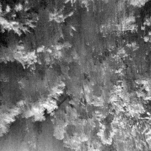 Sar Train F Object Detection Dataset By Tan Tram