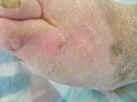 deep learning rk - Roboflow Universe