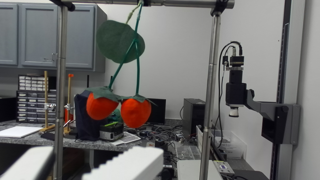 Stem Detection Instance Segmentation Dataset By Strawberry