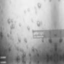 pox detection Object Detection Dataset by objectdet