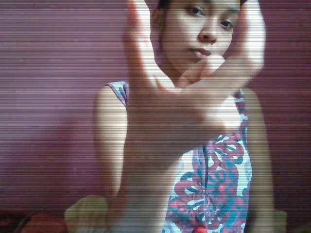 Indian sign language Object Detection Model by ISL