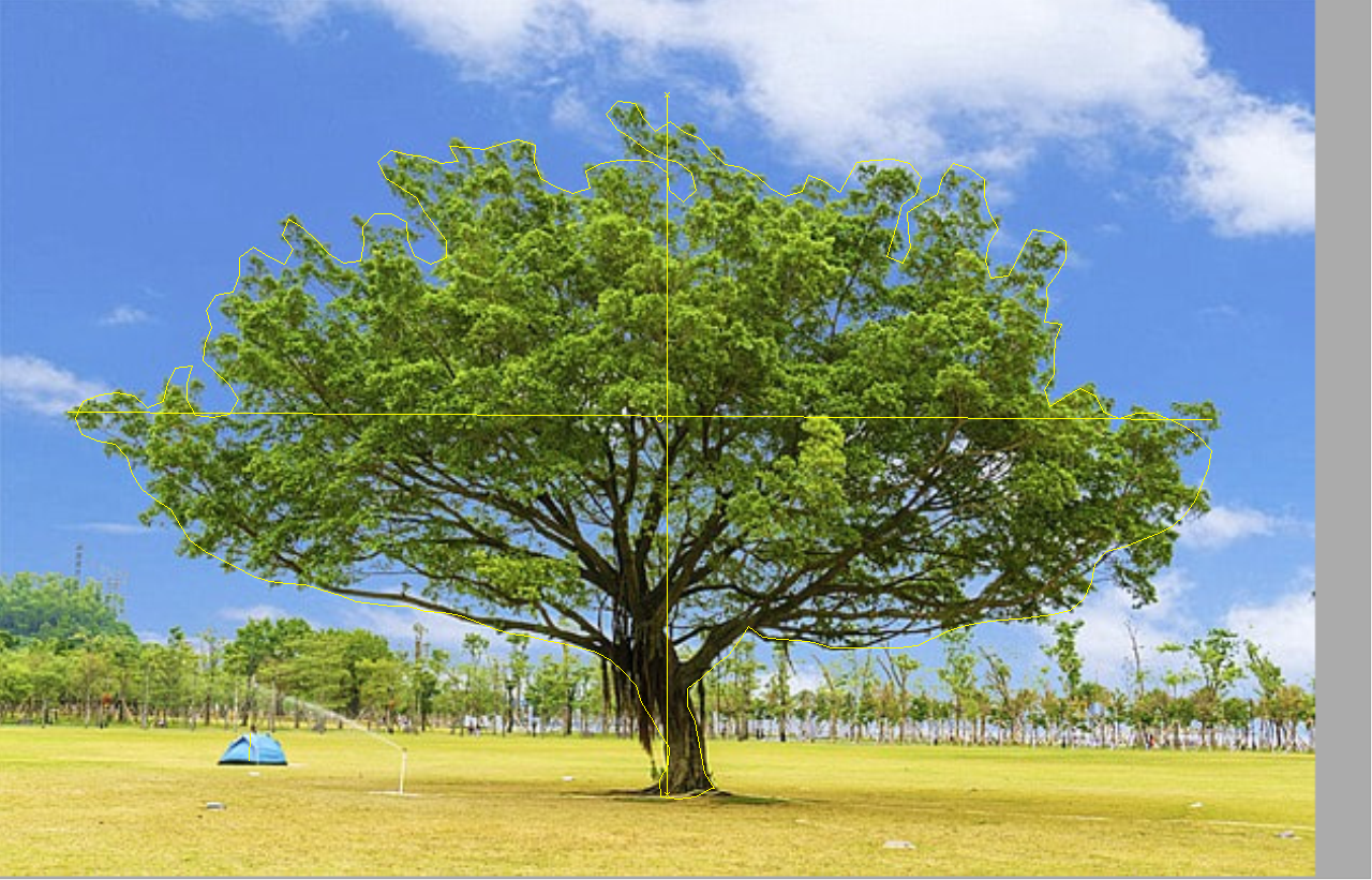 tree fall detect - Roboflow Universe