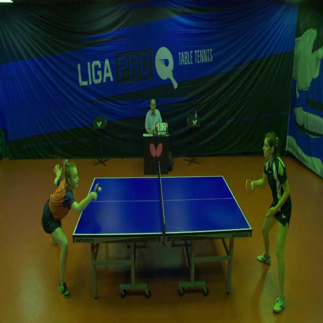 table_tennis Object Detection Dataset by hadelan