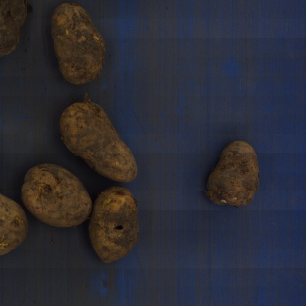 PreCam Only Ref - Bounding Box Object Detection Dataset by Bonen ...