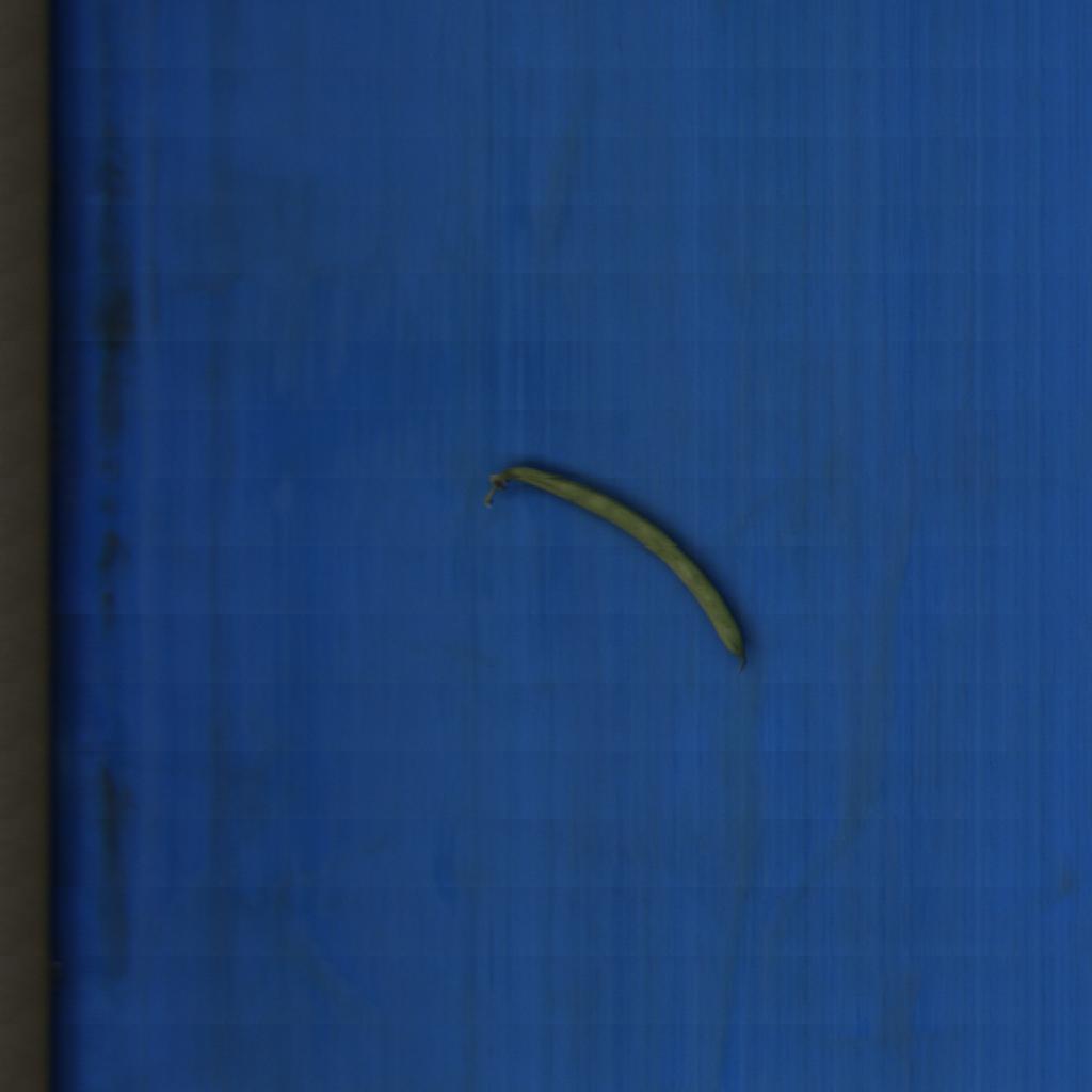 test beans Instance Segmentation Dataset by Bonen studenten september 2024