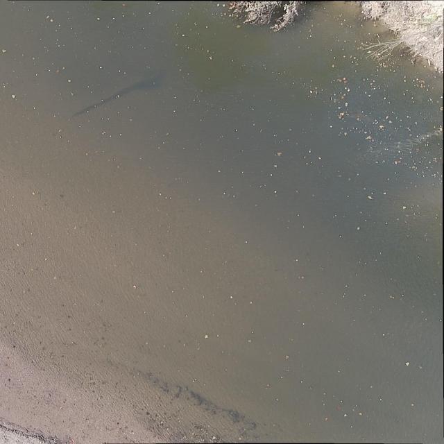 Water Detection Instance Segmentation Dataset and Pre-Trained Model by CloudFlow