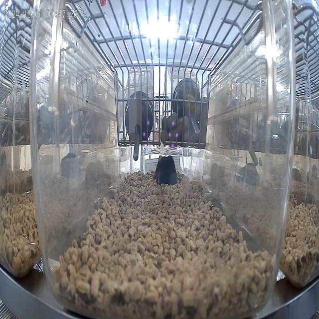 new_and_legacy_data Object Detection Dataset by mousescratch