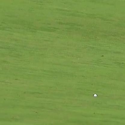 golf_ball_detection Object Detection Dataset by Polospace