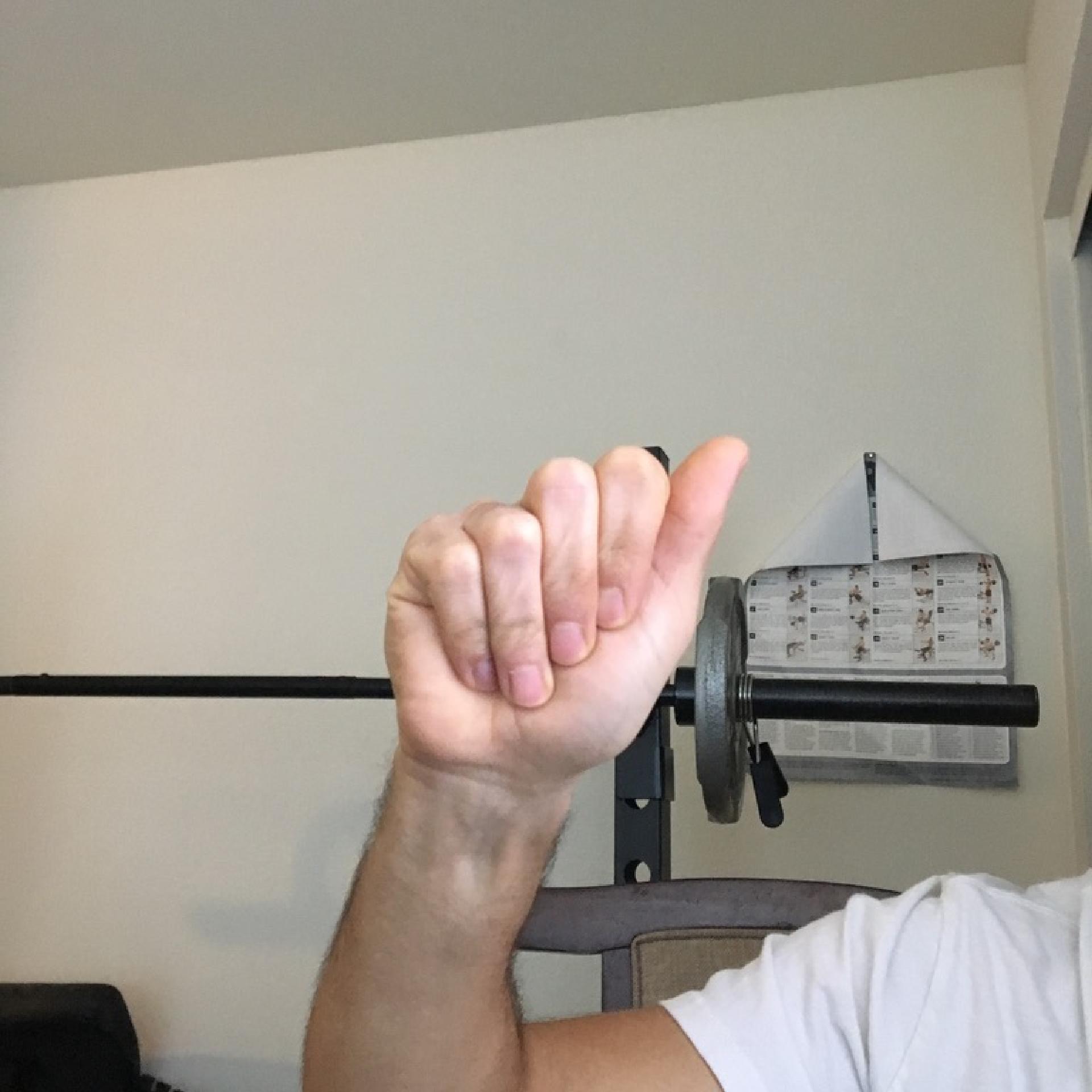 American Sign Language Object Detection Model By Moris