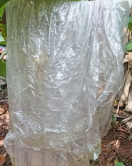 waste classification Object Detection Dataset and Pre-Trained Model by Lek