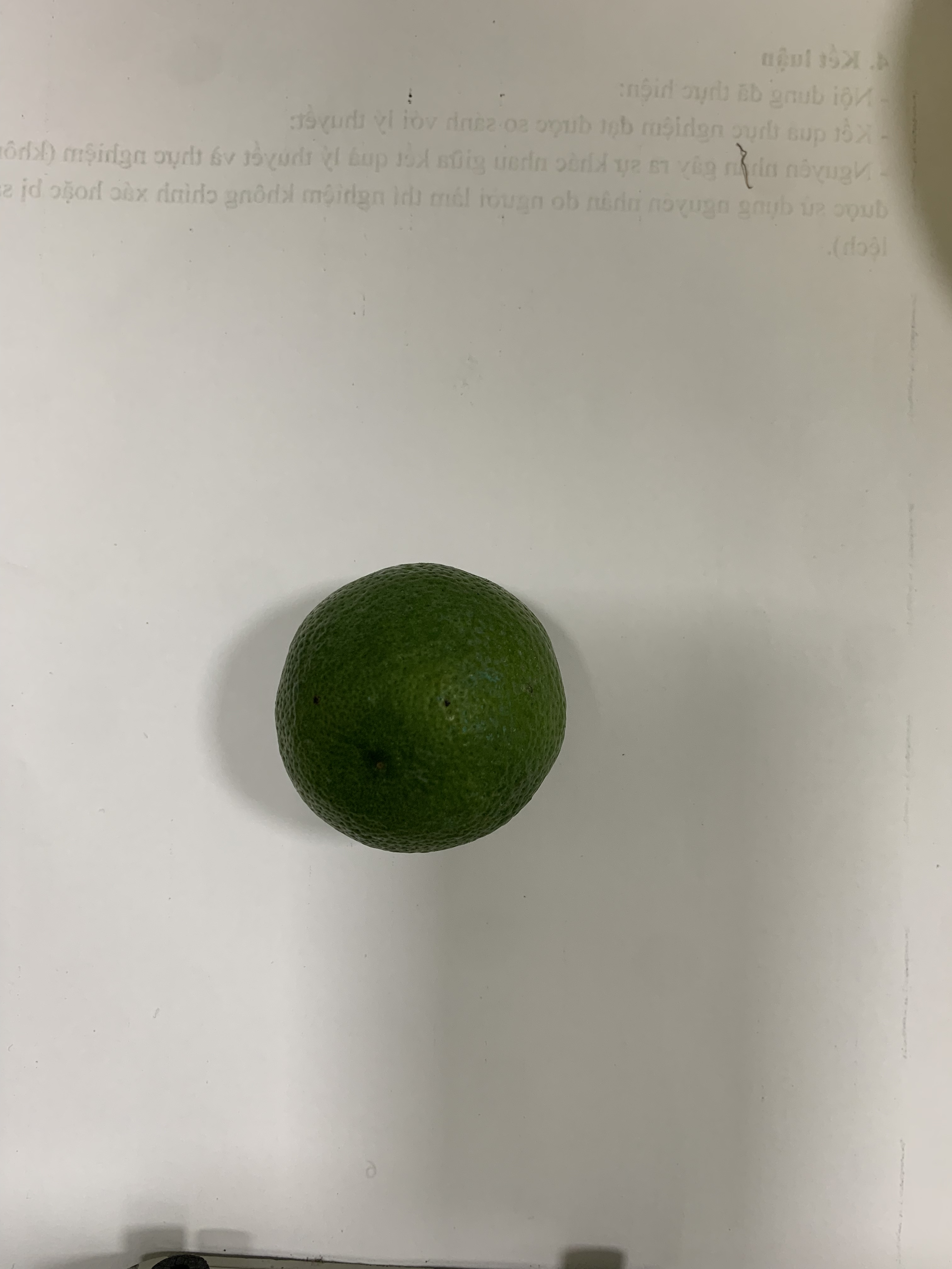 lime classifier Object Detection Dataset by lemon