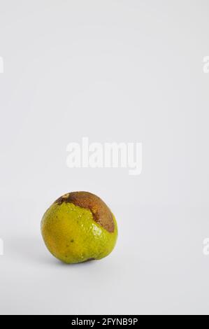 phan loai chanh Object Detection Dataset by lemon