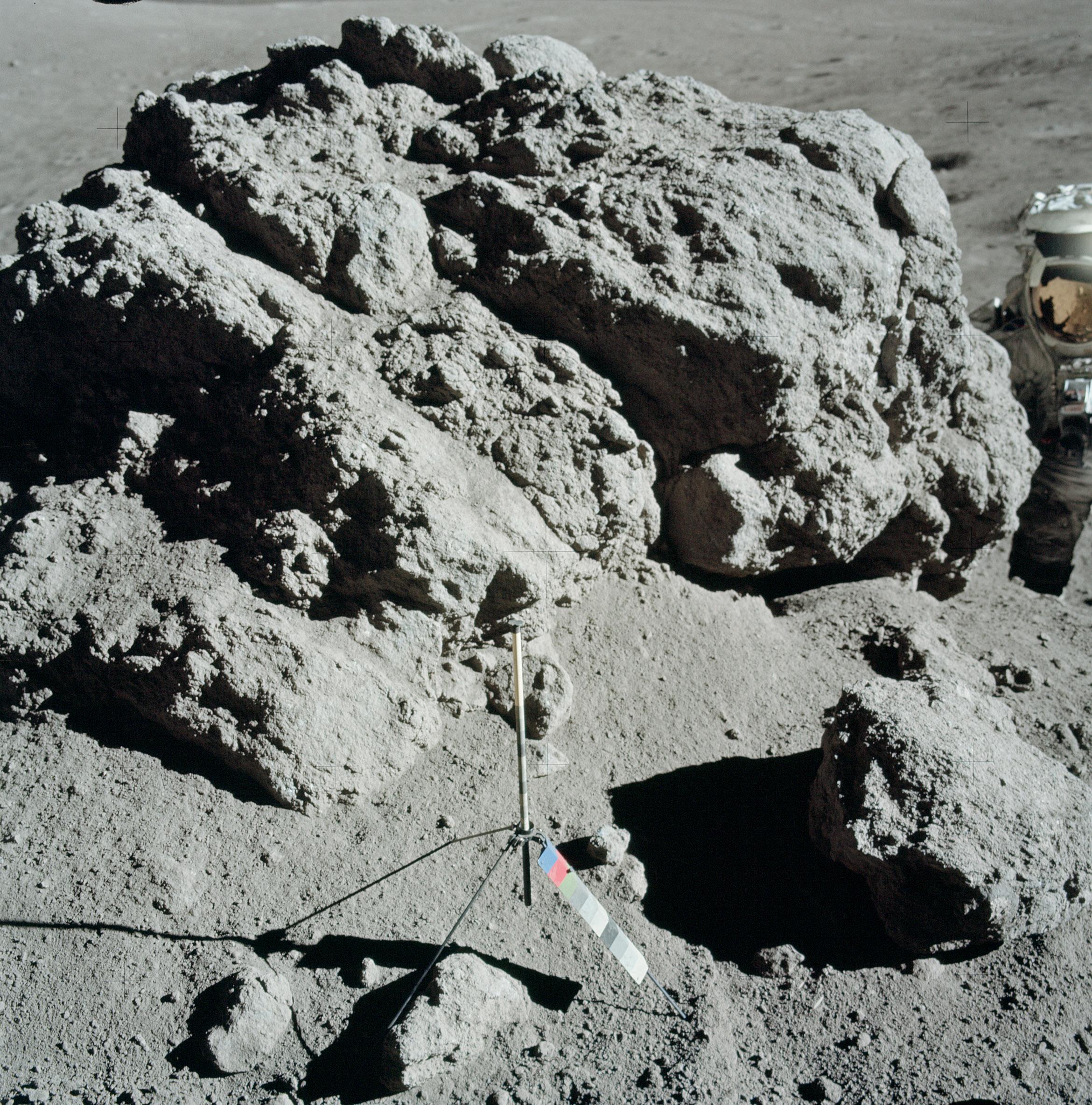 Csm Instance Segmentation Dataset By Csm