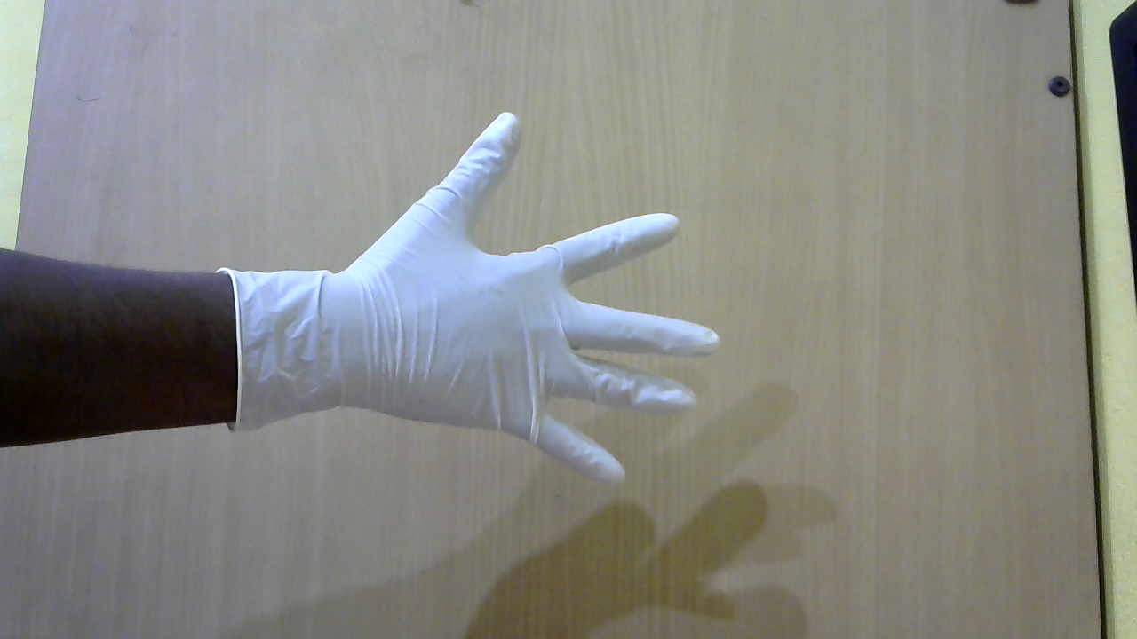 Gloves Object Detection Dataset by crisp