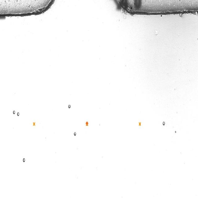 Celldetection Object Detection Dataset And Pre Trained Model By Cell