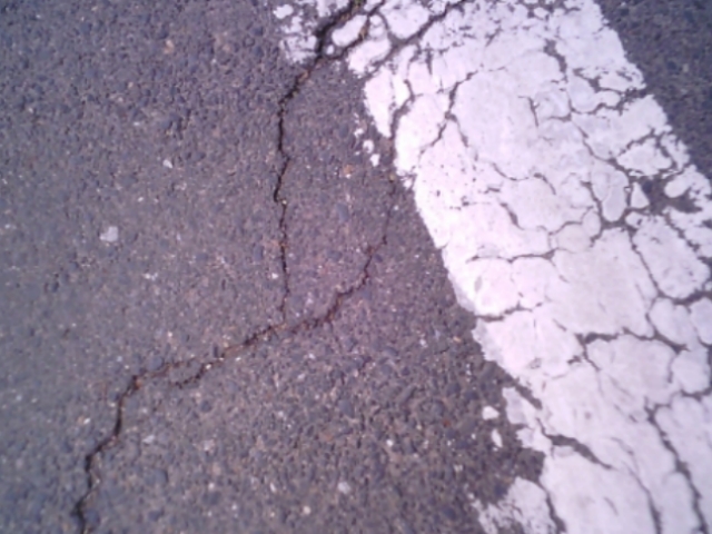 Pp Object Detection Dataset V9 2024 12 15 9 41am By Gggg