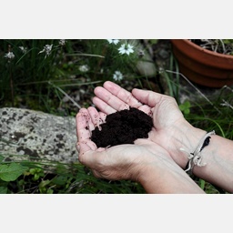 pfe_tri Object Detection Model by pfe