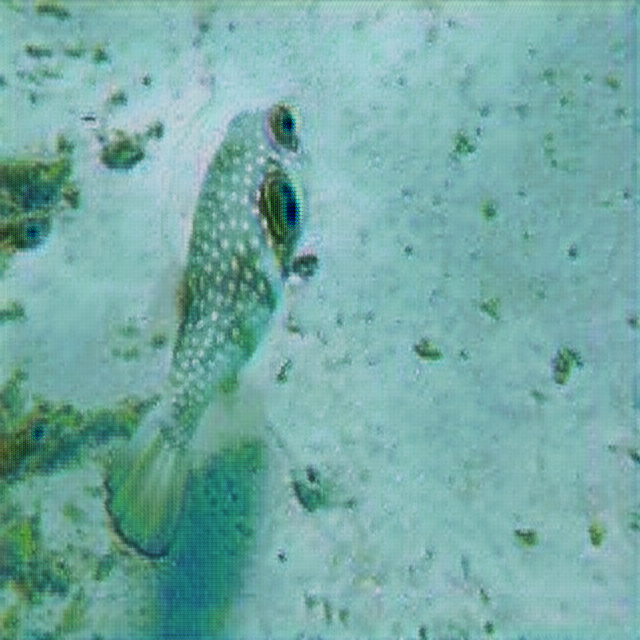 Underwater Fish Detection Object Detection Dataset and Pre-Trained ...