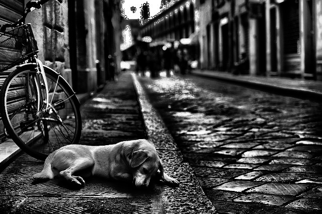 CLAHE+GC Object Detection Dataset by HS+GC