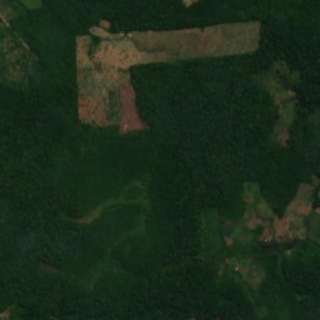 Deforestation Detection Semantic Segmentation Dataset by university