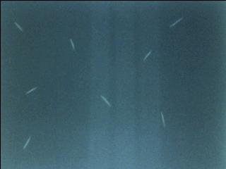 wafer defect detection Object Detection Dataset and Pre-Trained Model ...