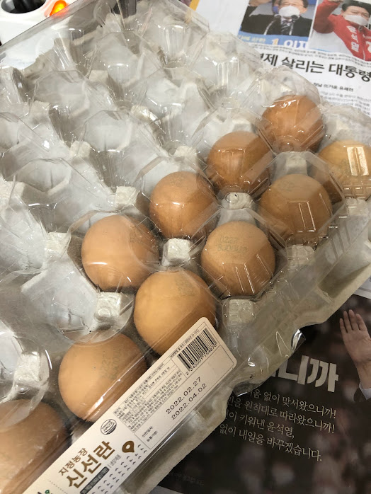 egg_v1 Object Detection Dataset by practice yolo